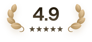 Toronto FC Tickets | 2025-2026 Games & Schedule | SeatGeek.ca