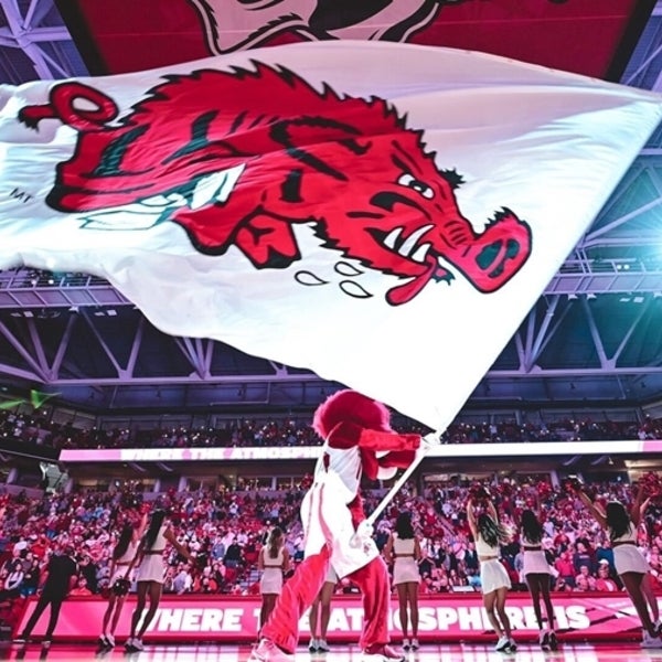 Arkansas Razorbacks Womens Basketball Playoff Tickets | 2025 Arkansas ...