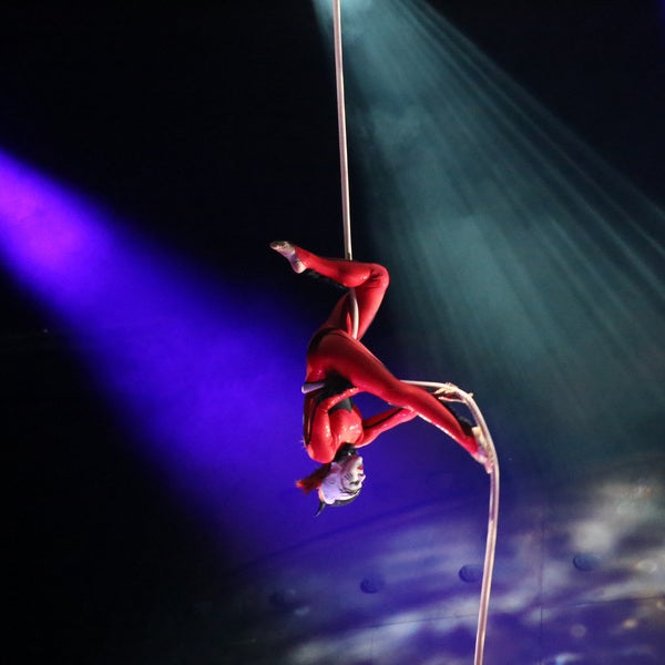 Cirque du Soleil: Luzia - Atlanta tickets in Atlanta (Under the Big Top ...