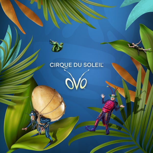 Cirque du Soleil: OVO Tickets | 2025-2026 Cirque du Soleil: OVO Tour ...