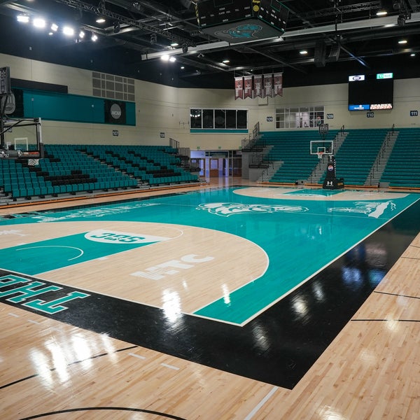 Lees-McRae Bobcats at Coastal Carolina Chanticleers Womens Basketball ...
