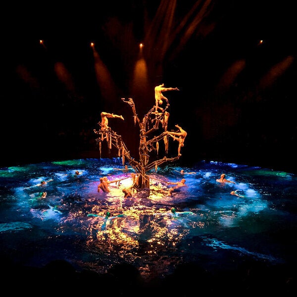 Le Reve Tickets | 2025 Le Reve Tour Dates | SeatGeek.ca