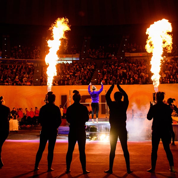 Penn State Nittany Lions at LSU Tigers Womens Gymnastics tickets in ...