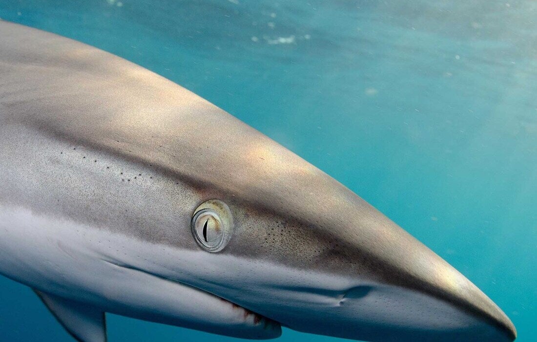 Events in Seattle 2025 Today | SeatGeek