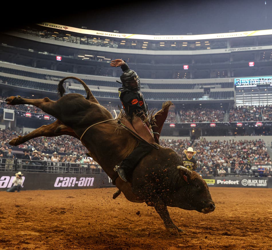 SNHU Arena Seating Chart & Seat Views | SeatGeek