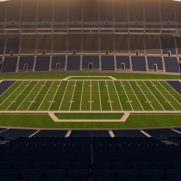 Seattle Seahawks Tickets 2024-2025 | Authenticated NFL Tickets ...