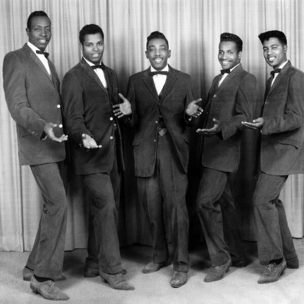 The Edsels Tickets & 2025-2026 Concert Tour Dates | SeatGeek