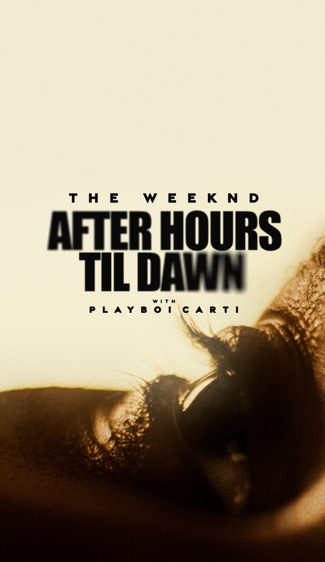 The Weeknd Premium Seating | SeatGeek The Weeknd Premium Seating | SeatGeek