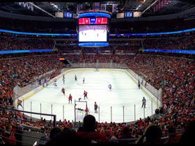 Washington Capitals Schedule 2025-2026 | SeatGeek
