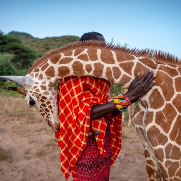 Wild Hope with Photographer Ami Vitale Tickets | 2025-2026 Wild Hope ...